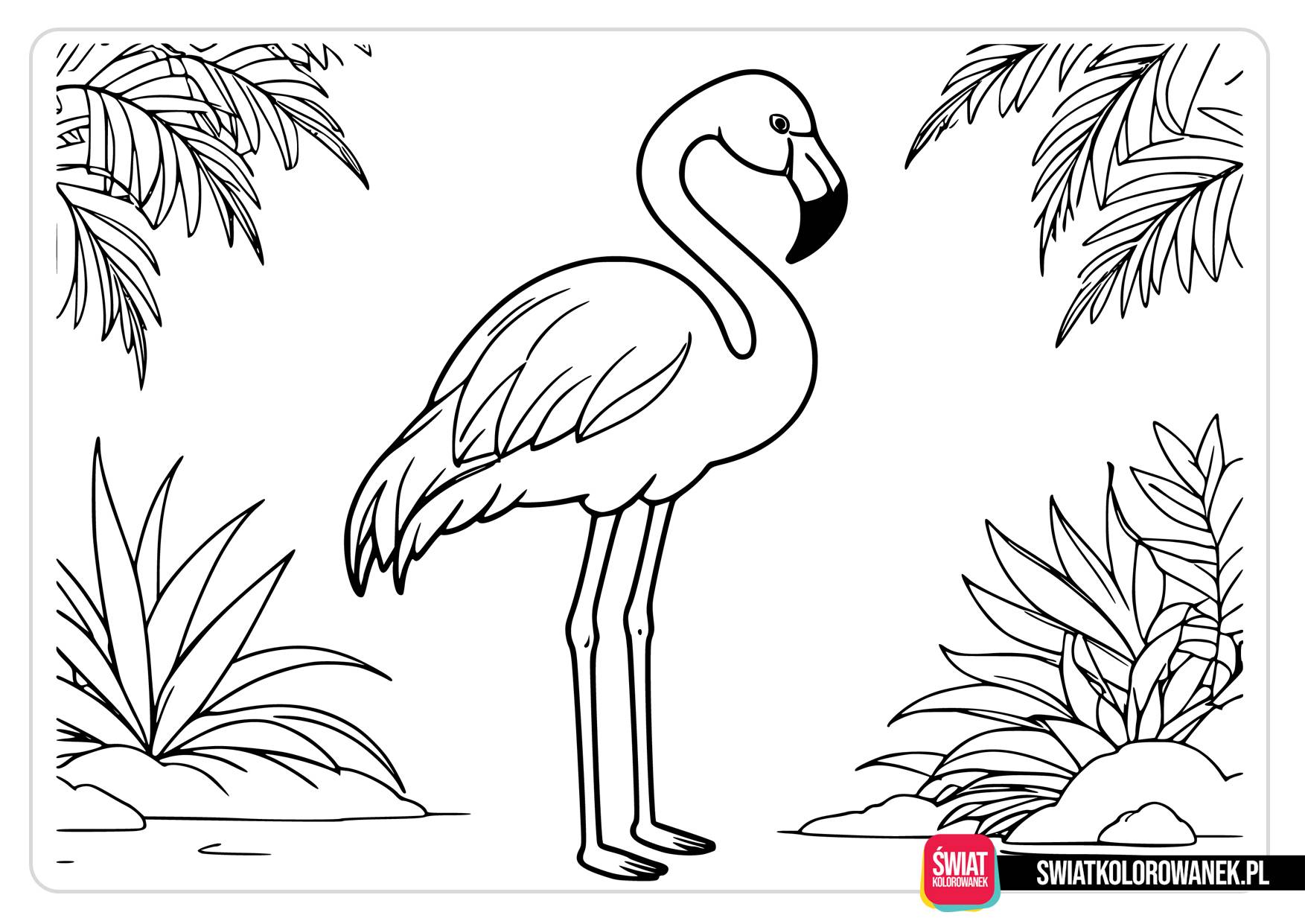 Kolorowanki Flamingi - ŚwiatKolorowanek.pl