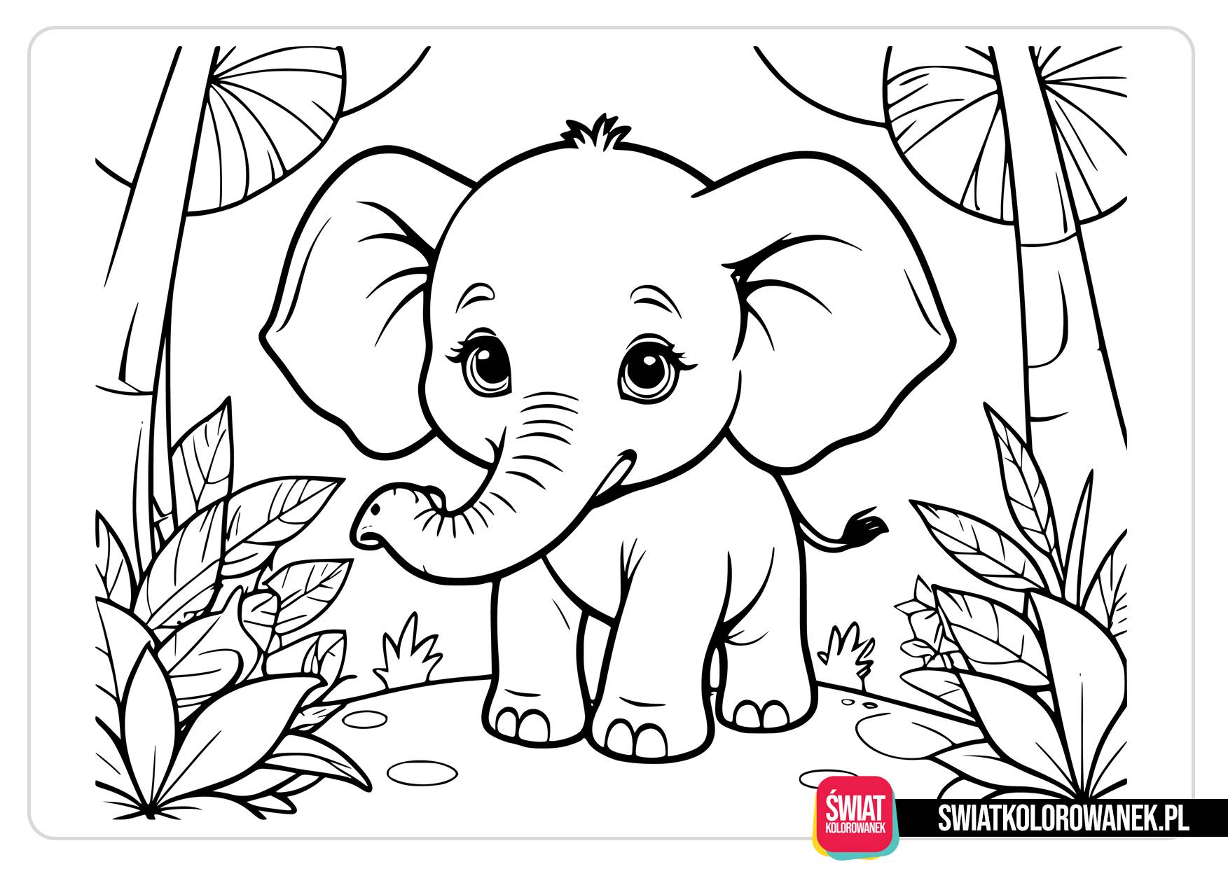 Słoń kolorowanka do wydruku - Darmowe kolorowanki do druku